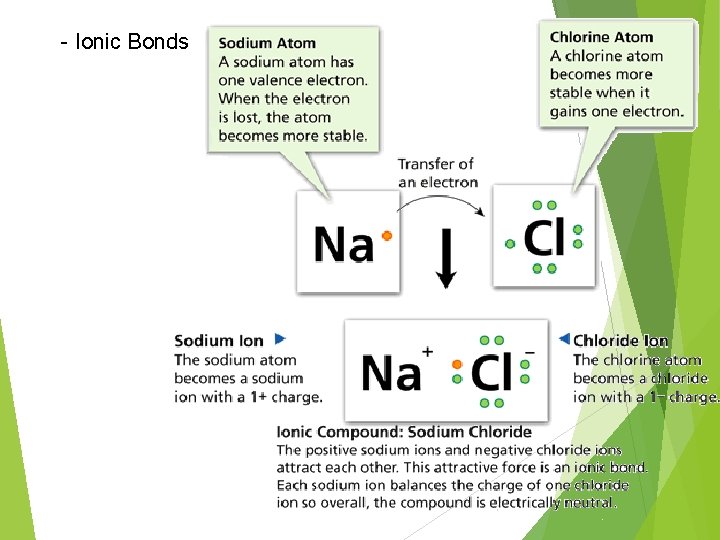 Chap 2 Biochemistry The Chemistry of Life Elements