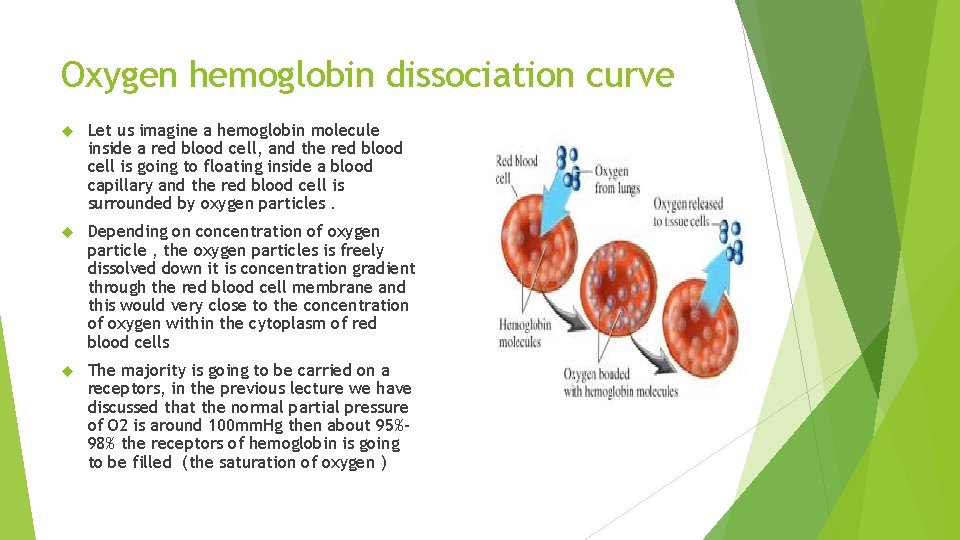 Oxygen hemoglobin dissociation curve Dr Arwa Rawashdeh OBJECTIVES