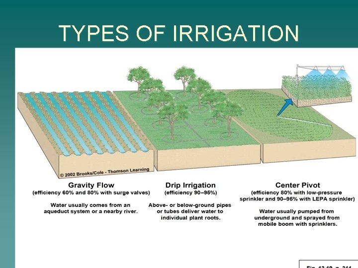 WATER RESOURCES WHY IS WATER IMPORTANT u COVERS