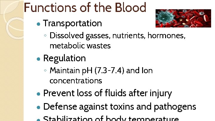 Circulatory system functions Transportation Bring oxygen to all