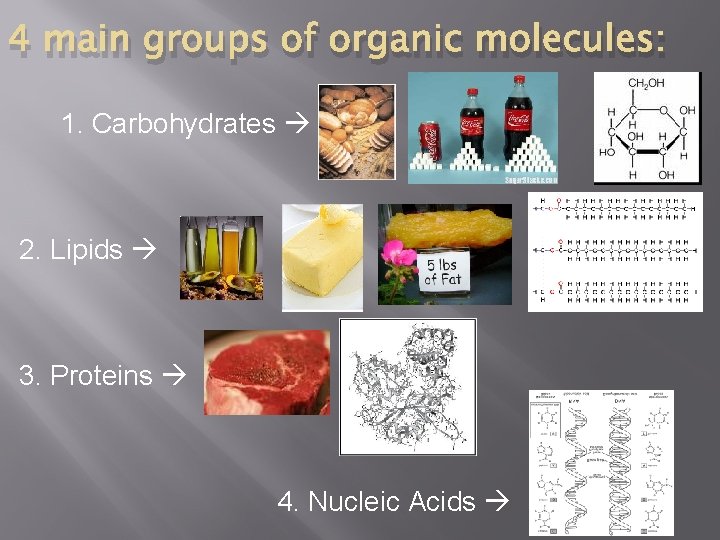 ORGANIC CHEMISTRY CHEMISTRY OF LIFE General Biology Glencoe