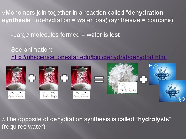 ORGANIC CHEMISTRY CHEMISTRY OF LIFE General Biology Glencoe