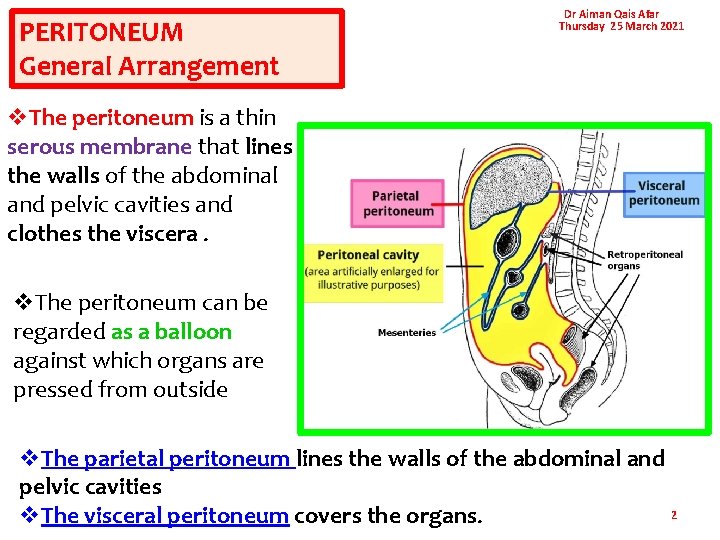 GASTROINTESTINEAL SYSTEM THE PERITONEUM Dr Aiman Qais Afar