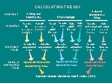 THE GENDERRELATED DEVELOPMENT INDEX GDI The GDI adjusts