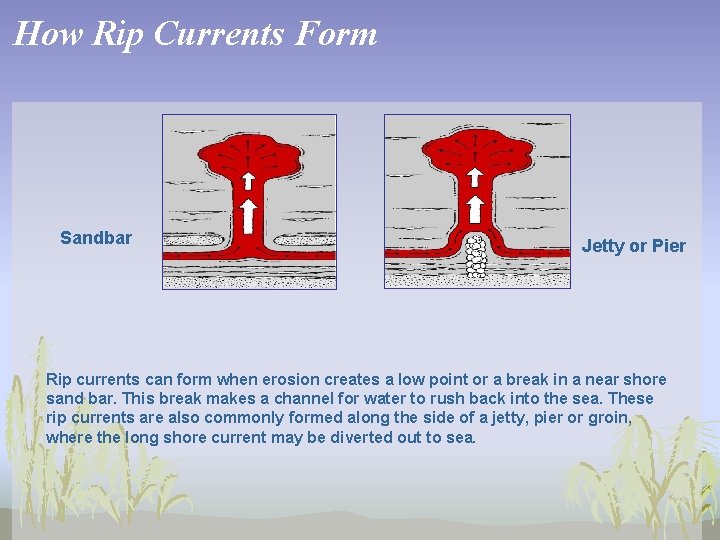 Environmental Studies Basking Ridge High School A Collaborative