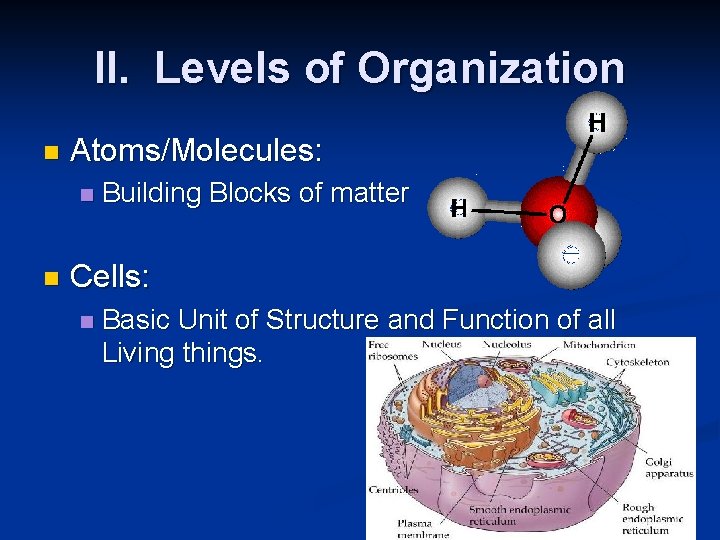 Awesome Anatomy Introductions I Introduction P Anatomy P