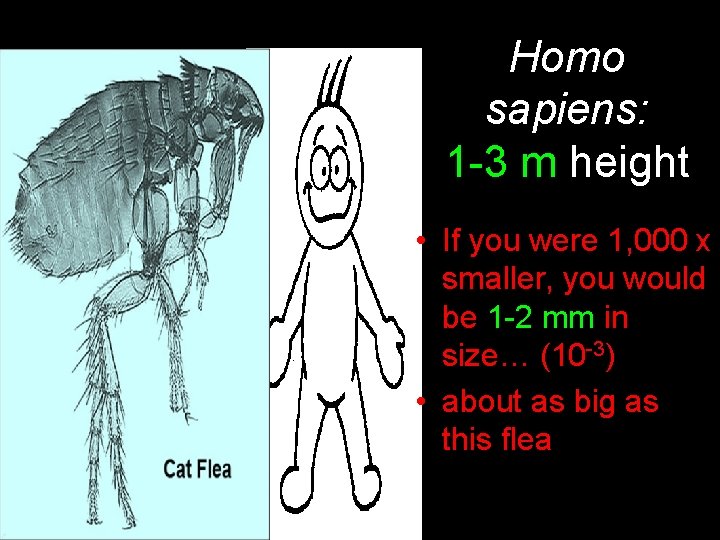 How big is BIG Or How small is