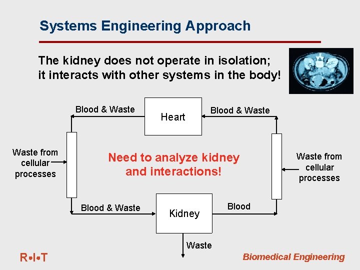 Biomedical Engineering at RIT Department of Chemical and