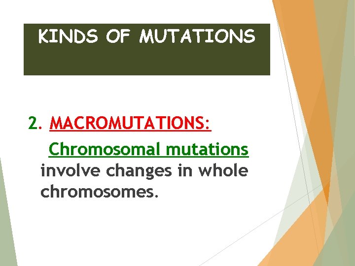 MUTATIONS WHAT ARE MUTATIONS KEY CONCEPT Mutations are