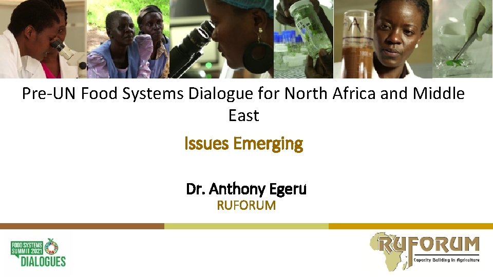 PreUN Food Systems Dialogue for North Africa and