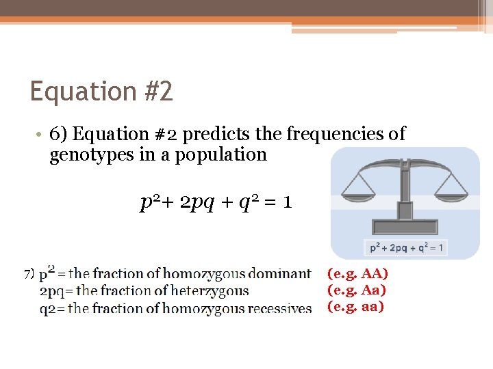 Population Genetics HardyWeinberg Equilibrium and Equations ...