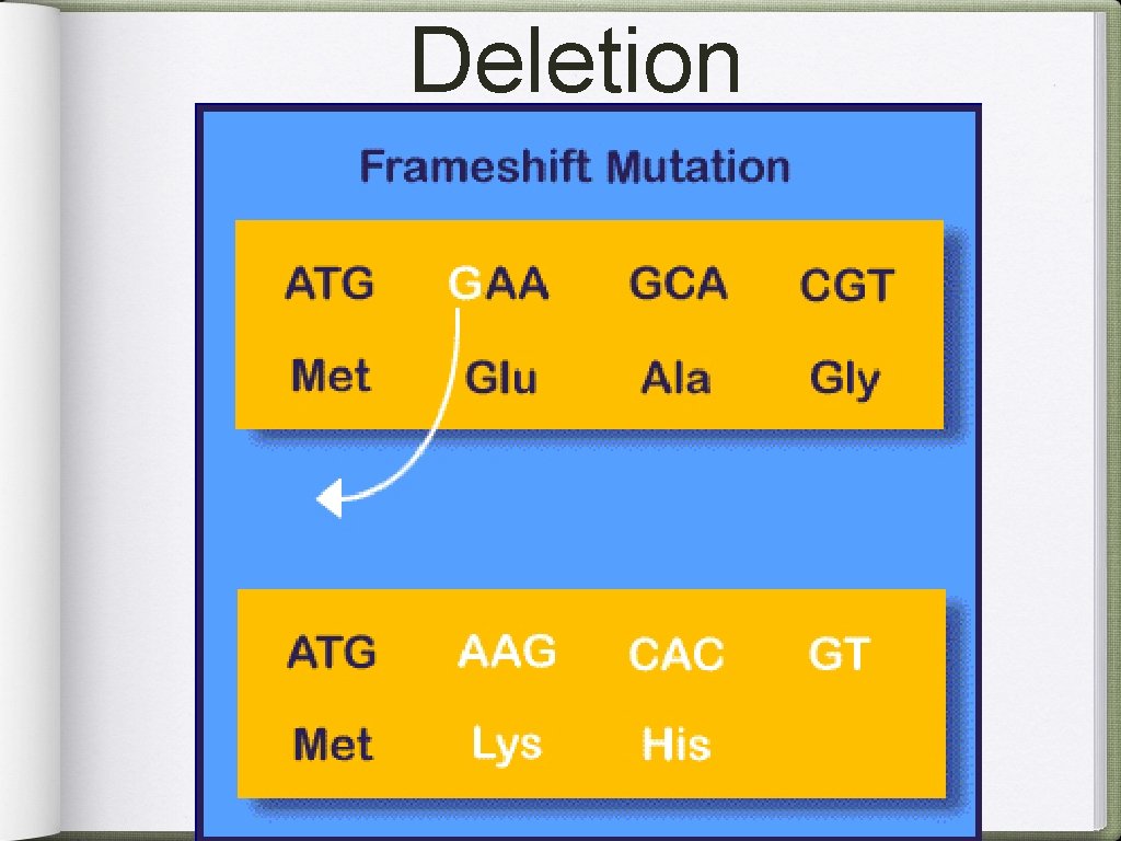 Mermaid Syndrome Video Mutations Any change in DNA