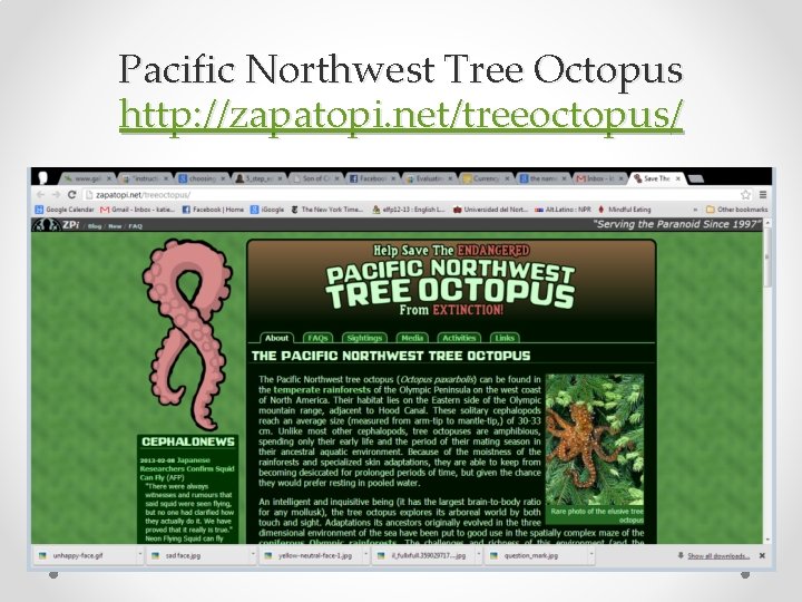 Navigating Your Online Resources Using Rubrics Katie Bain
