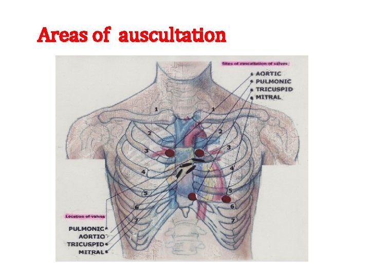 HEART SOUNDS By Dr Ola Mawlana Objectives To