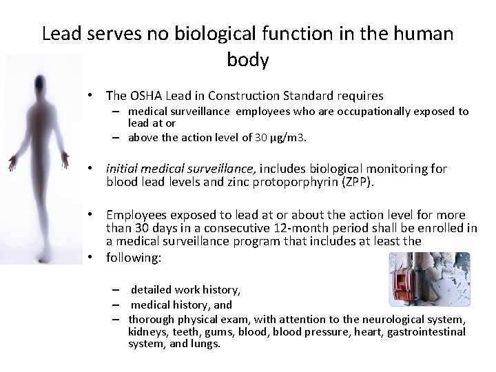 Lead Health Effects Warren Silverman MD Occupational exposure