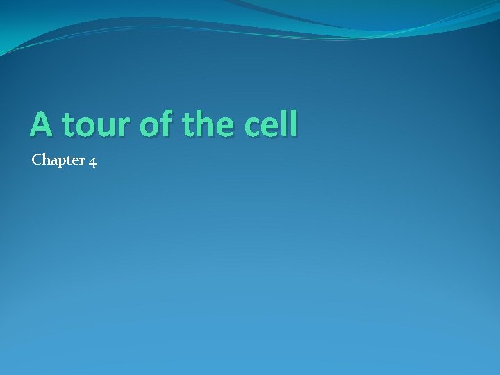 A tour of the cell Chapter 4 Most
