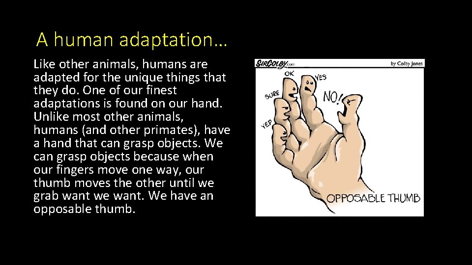 Mind Stretcher List one food chain where the