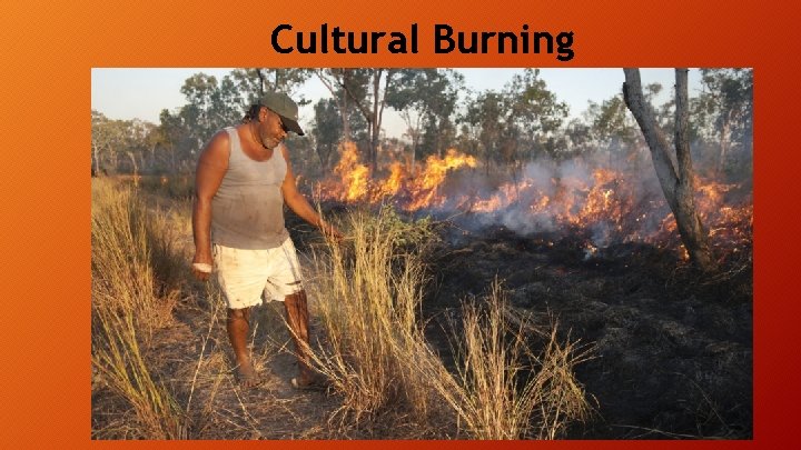 Year 9 ScienceHSIE Aboriginal Sustainability Background Information ...