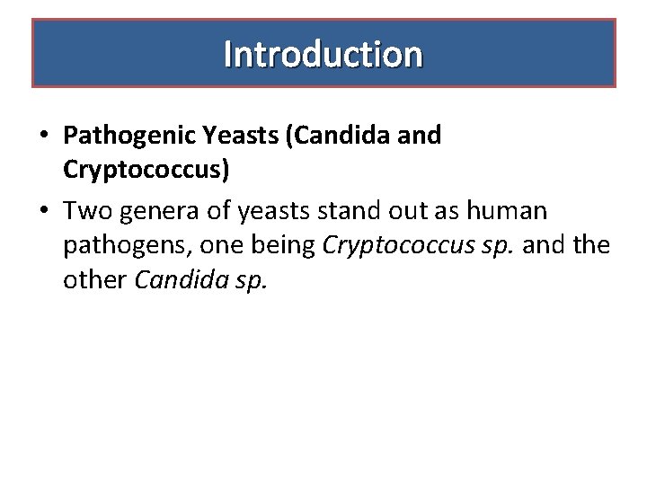 CANDIDA CRYTOCOCCUS Lecture 15 Prepared by Miss Norzawani