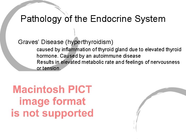 Chapter 7 Anatomy and Physiology Chapter 7 The