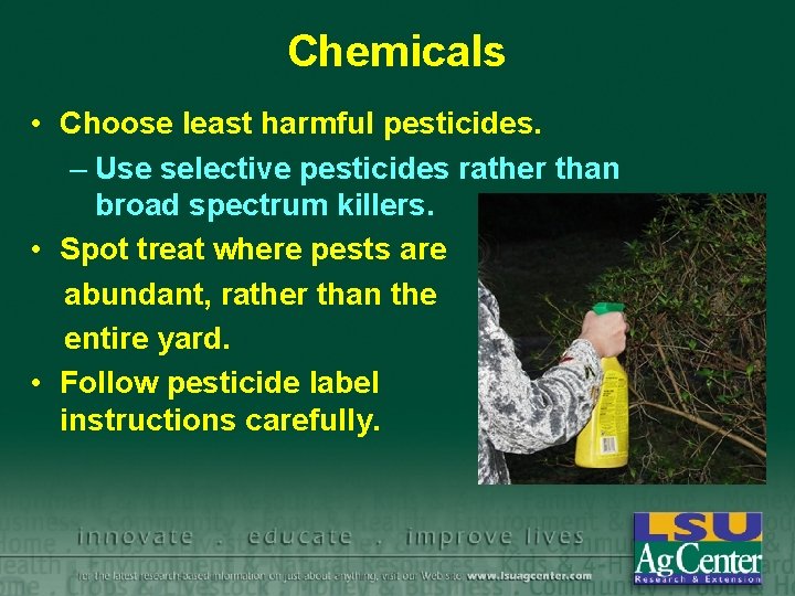 Louisiana Yards and Neighborhoods www lsuagcenter comlyn Manage