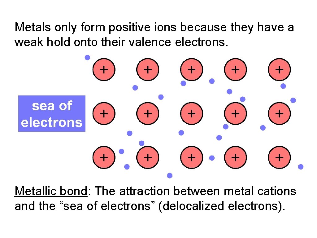 Metallic Bonding Metals only form positive ions because