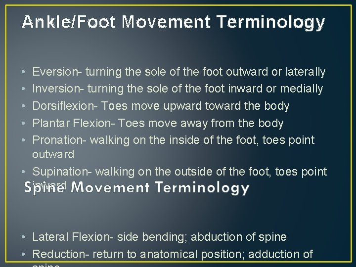 Principles of Kinesiology Rehab Careers 1 A Standard