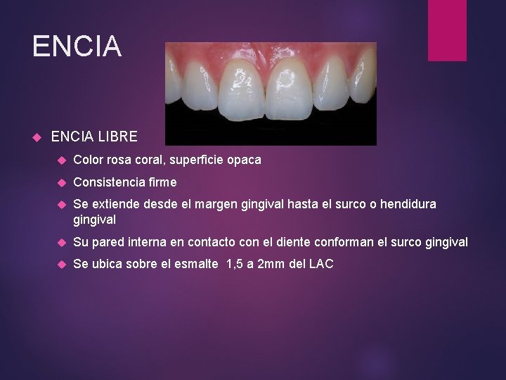 TEJIDOS DE PERIODONTO PERIODONCIA I DRA SILVIA A