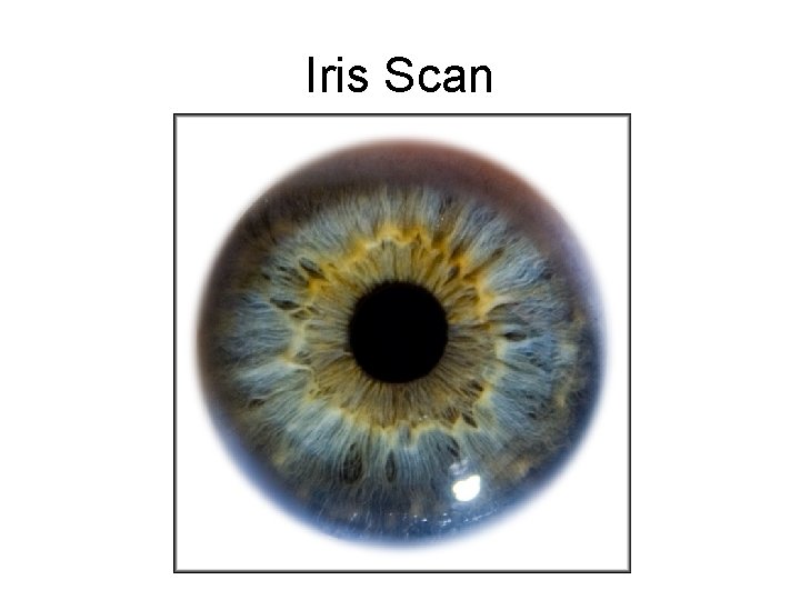 Chapter 4 Access Control Brian E Brzezicki Overview