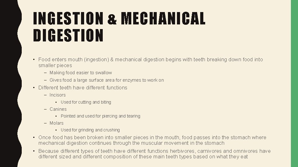 DIGESTION REVISION MRS RAYNER YR 11 ATAR BIOLOGY