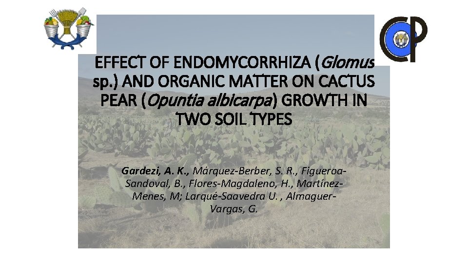 EFFECT OF ENDOMYCORRHIZA Glomus sp AND ORGANIC MATTER