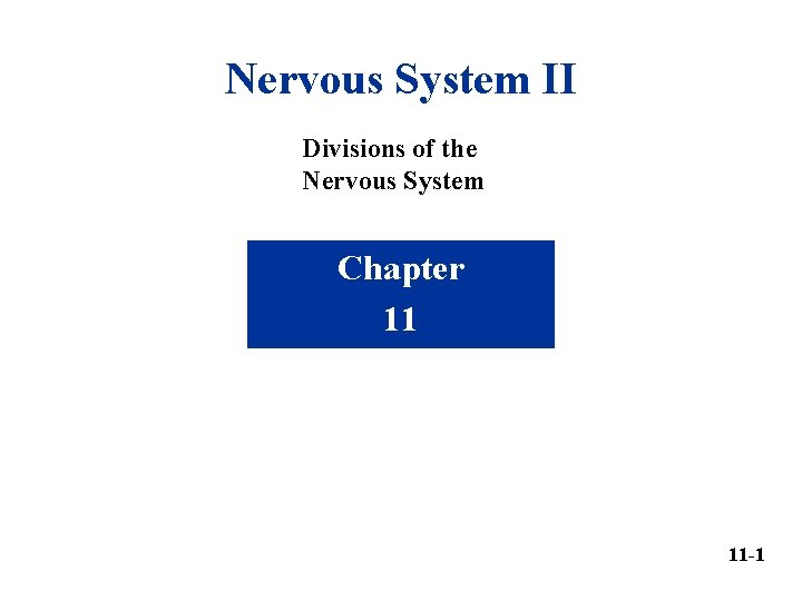 Nervous System II Divisions of the Nervous System
