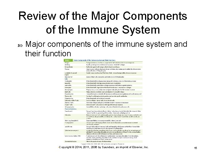 Chapter 7 Immunity Immune System Responsible for body