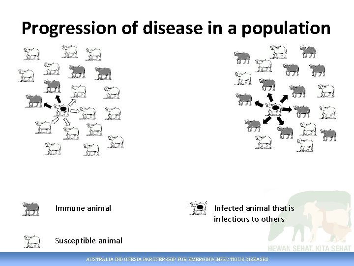 Basic Field Epidemiology Session 6 How disease progresses