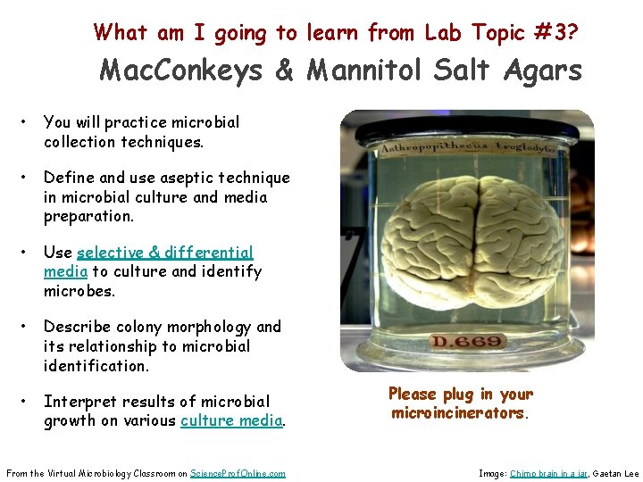 About Science Prof Online Power Point Resources Science