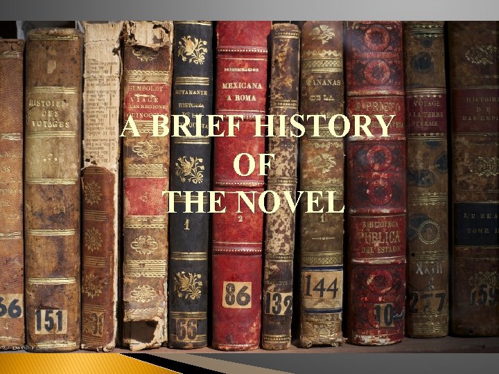 A BRIEF HISTORY OF THE NOVEL What is