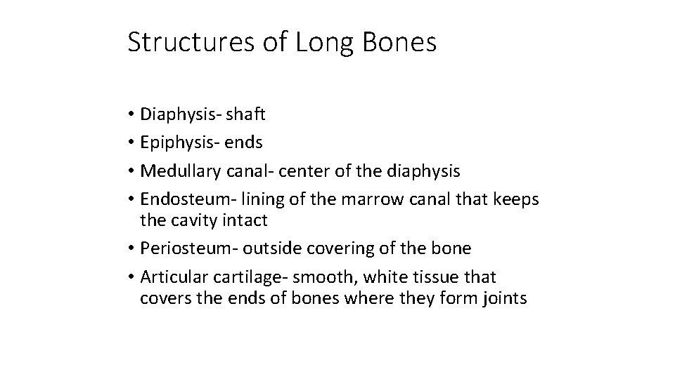Skeletal System Health Science 1 Bone Formation Osteocyte