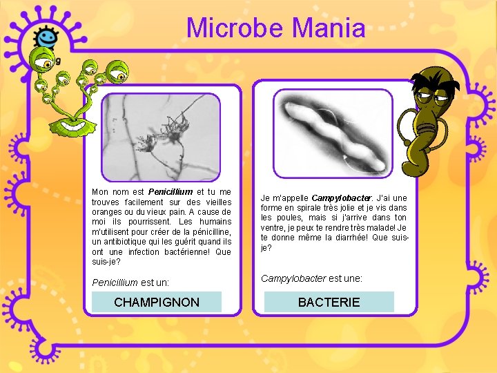 Microbe Mania Mon nom est Staphylococcus Je suis