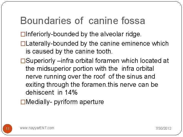 Anatomy Of Paranasal Sinuses Nafisa parveen Jawaharlal nehru