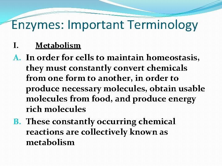 Enzymes Enzymes Important Terminology I Metabolism A In
