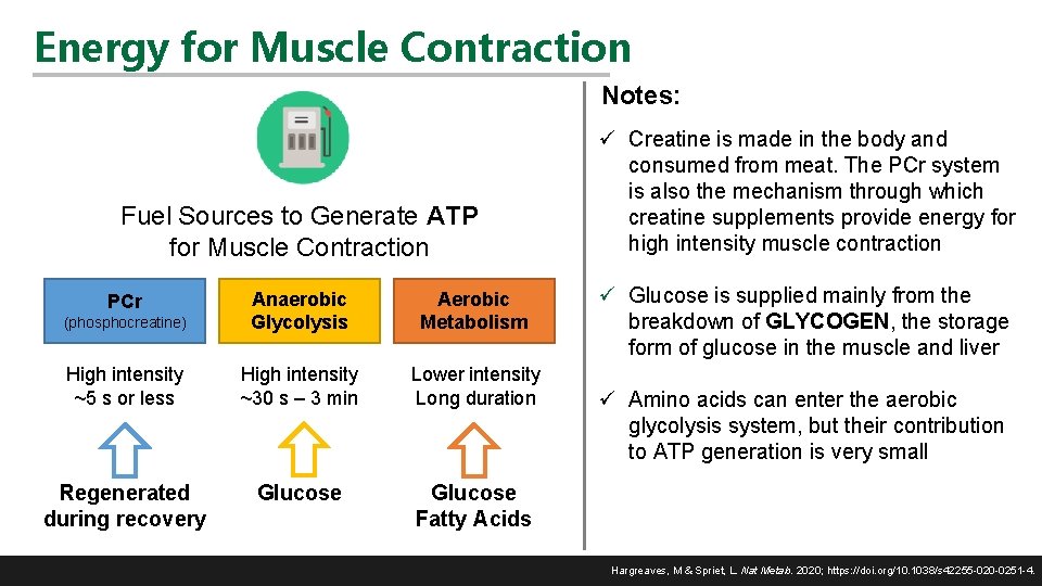 OVERVIEW OF EXERCISE METABOLISM Lecture content provided by