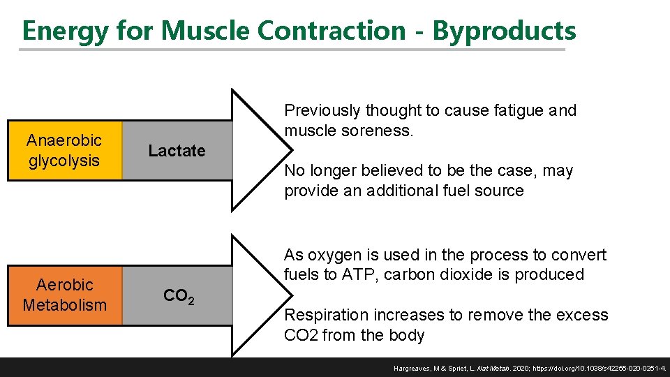 OVERVIEW OF EXERCISE METABOLISM Lecture content provided by