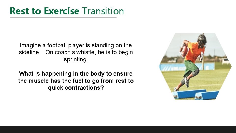 OVERVIEW OF EXERCISE METABOLISM Lecture content provided by