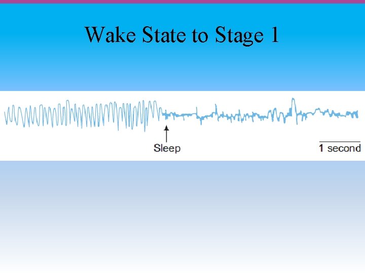 Module 08 Sleep Dreams and Body Rhythms Module