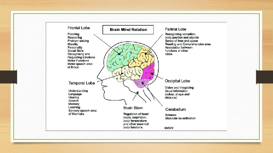 Cognitive Disabilities in Education How the brain works