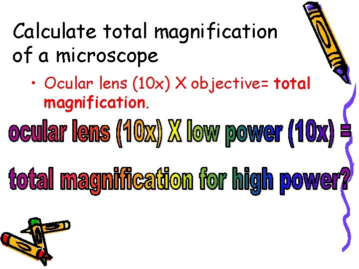 CP Biology Review Yea Steps in the Scientific