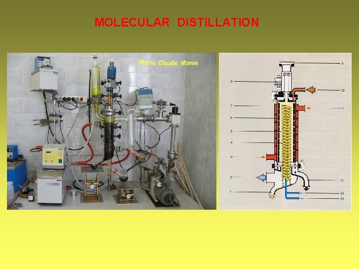 The Company is specialized in the areas of