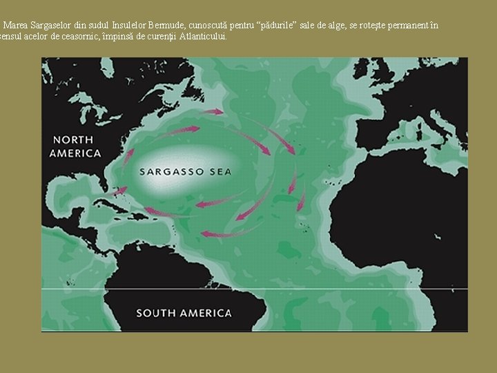 CURIOZITI GEOGRAFICE REALIZAT MIHAI TIRBU TEXT SI IMAGINI
