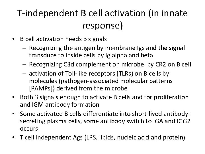 B cells activation antibody production Dr Eman Albataineh