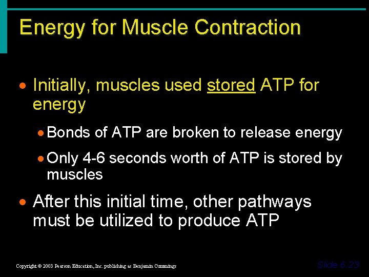 Microanatomy of Muscles Ch 6 b Microscopic Anatomy